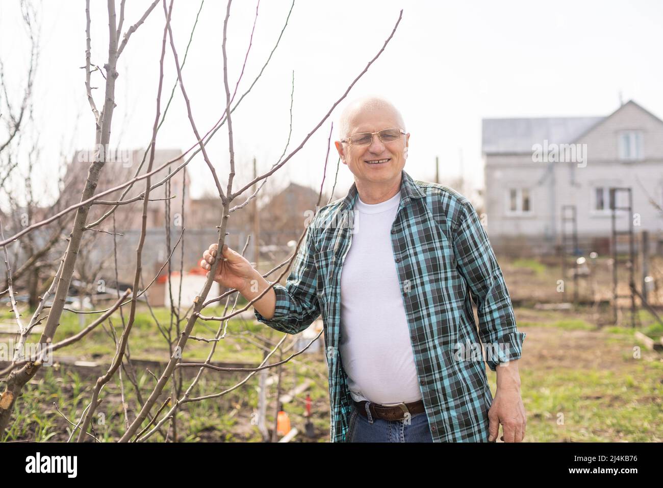 Elderly man in the vegetable garden. Spring garden concept. Elderly ...