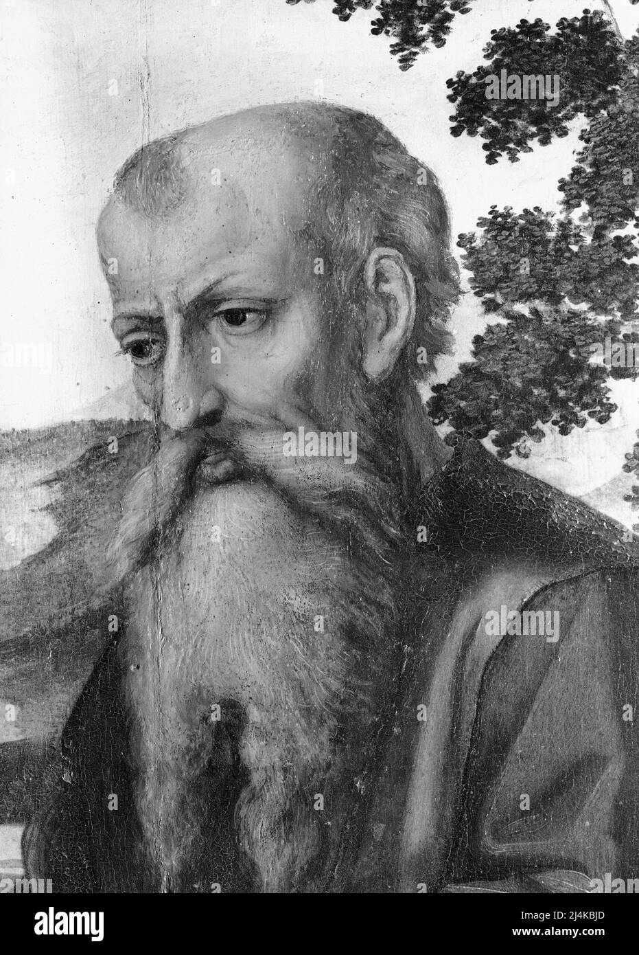 DETALLE DEL ROSTRO DE SAN PABLO - SIGLO XVI - RENACIMIENTO ESPAÑOL ...