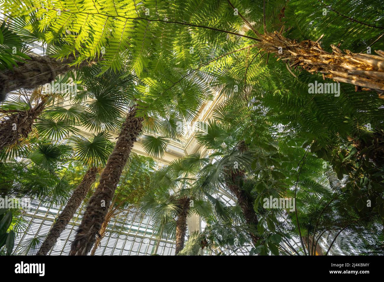 Palmenhaus Greenhouse at Schonbrunn Palace - Vienna, Austria Stock ...