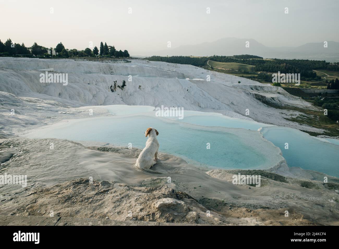 Natural travertine pools and terraces in Pamukkale. Cotton castle in ...