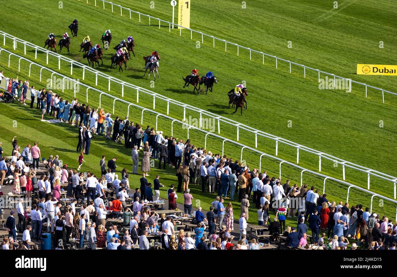 My prospero racecourse hi-res stock photography and images - Alamy