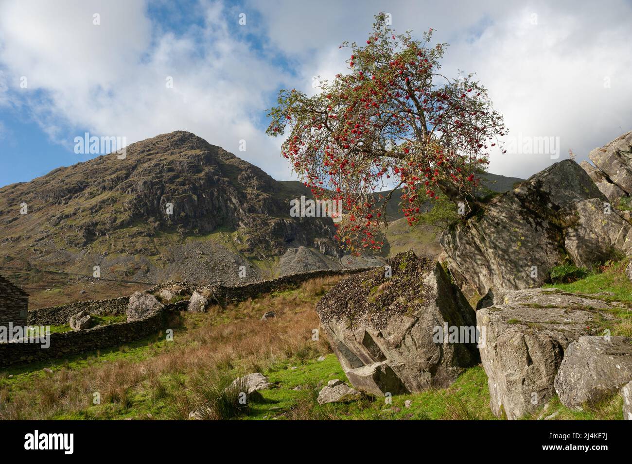 Rainsborrow Crag from Tongue House in Kentmere, Cumbria Stock Photo - Alamy