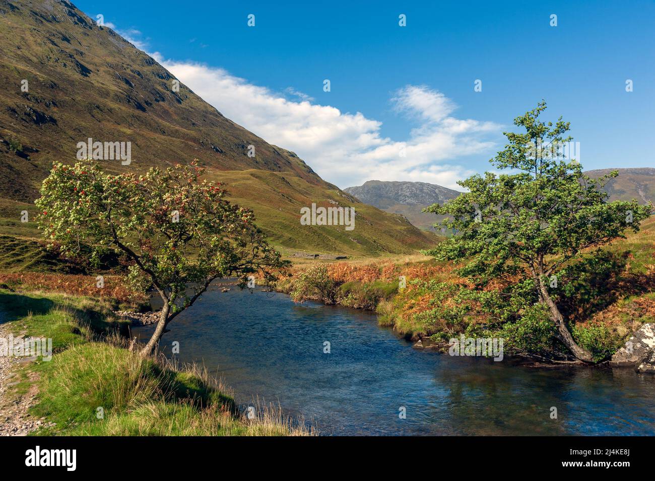 Kintail path hi-res stock photography and images - Alamy