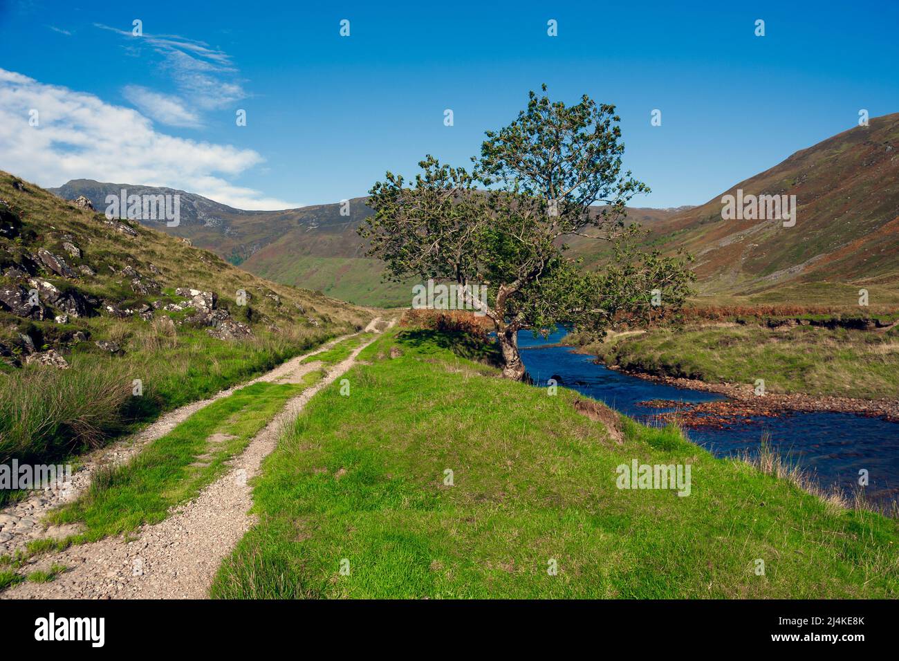 Glenlicht in The Kintail Forest, Scotland Stock Photo - Alamy
