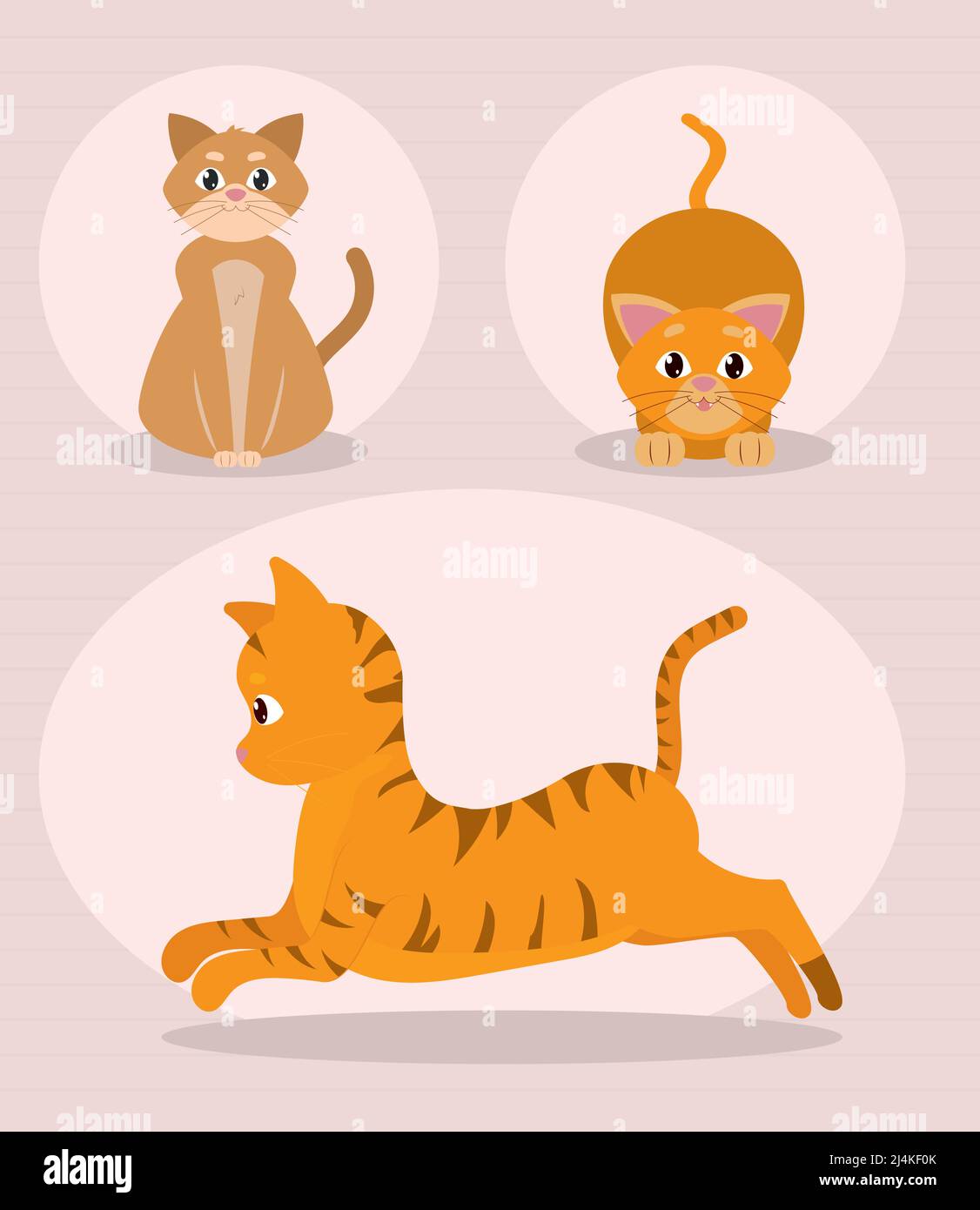 cute cats icon set Stock Vector Image & Art - Alamy