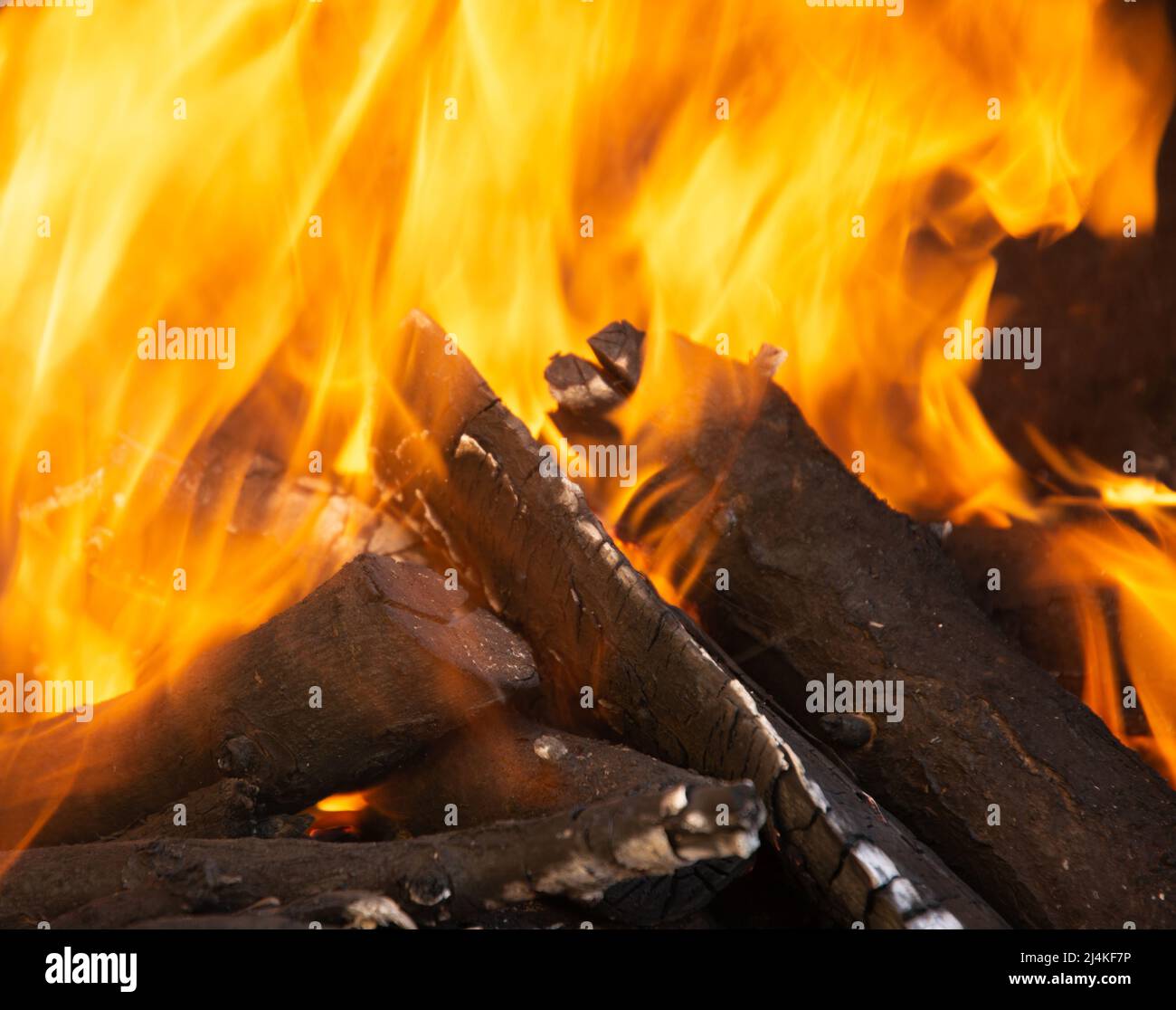 Yellow tongues of flame are dancing on wooden logs Stock Photo - Alamy