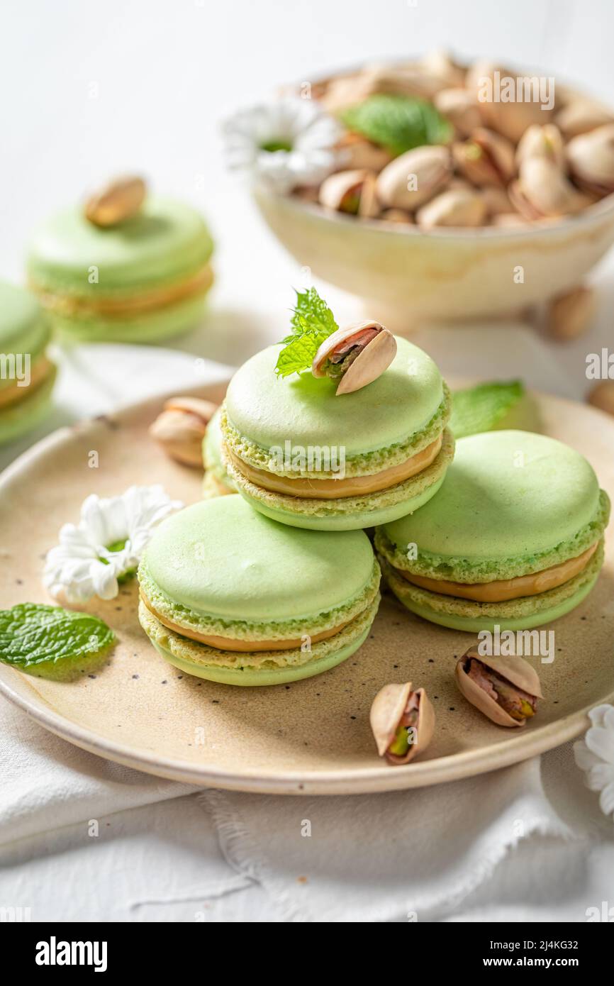Homemade and sweet pistachio macaroons with spring flowers on plate ...