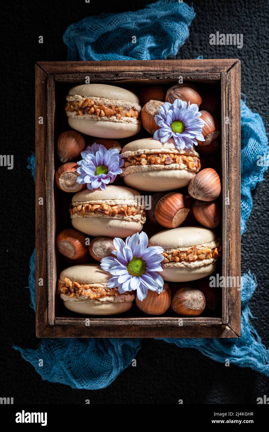 Tasty and sweet nuts macaroons as a crunchy dessert. Brown macaroons ...
