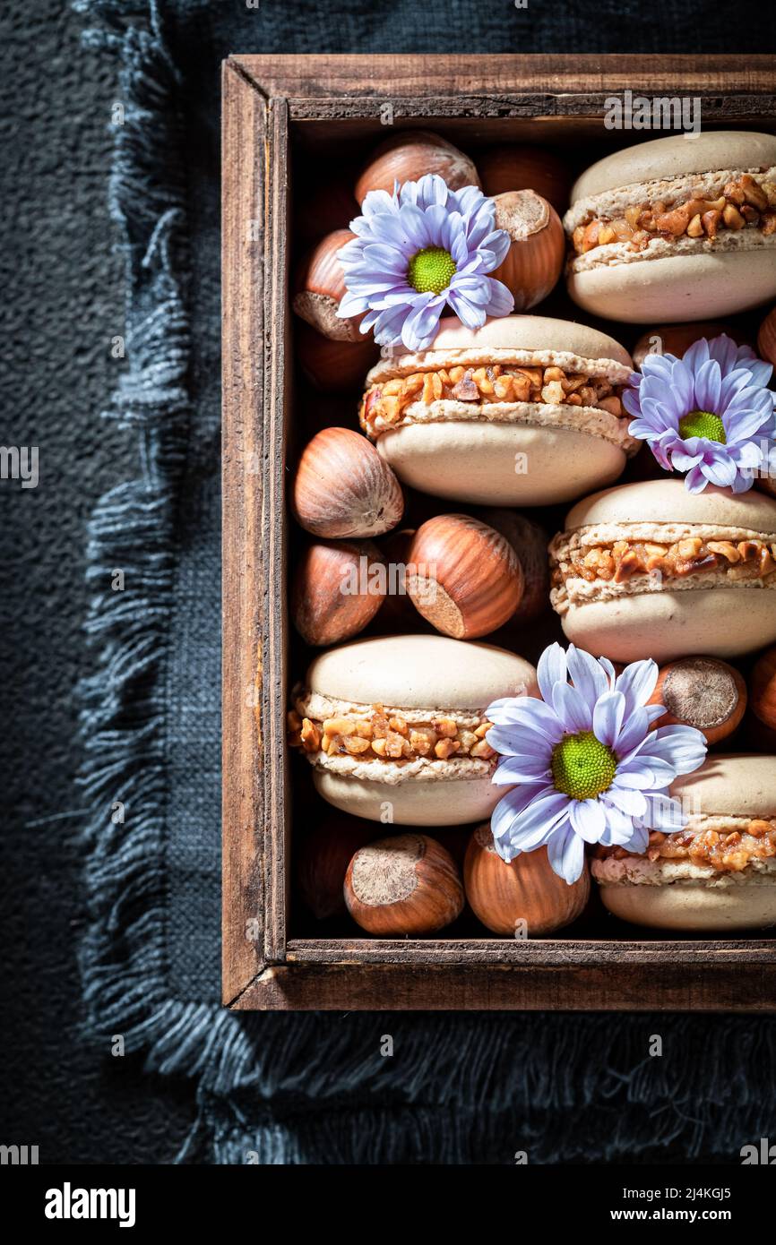 Tasty and sweet nuts macaroons made of hazelnuts and walnut. Sweet ...