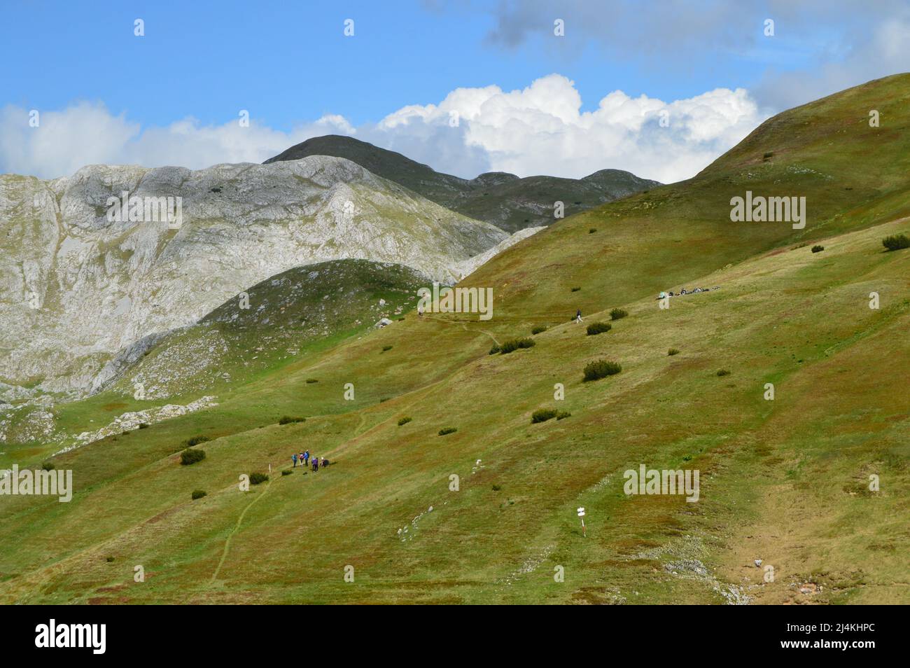 Hiking day on Zelengora mountain, Bosnia Stock Photo - Alamy
