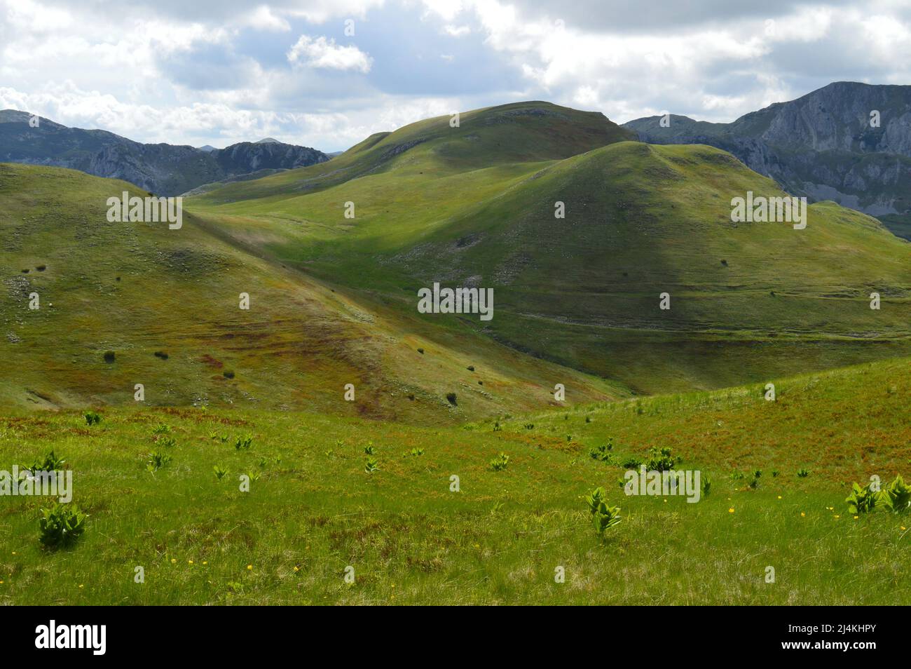 Zelengora mountain hi-res stock photography and images - Alamy