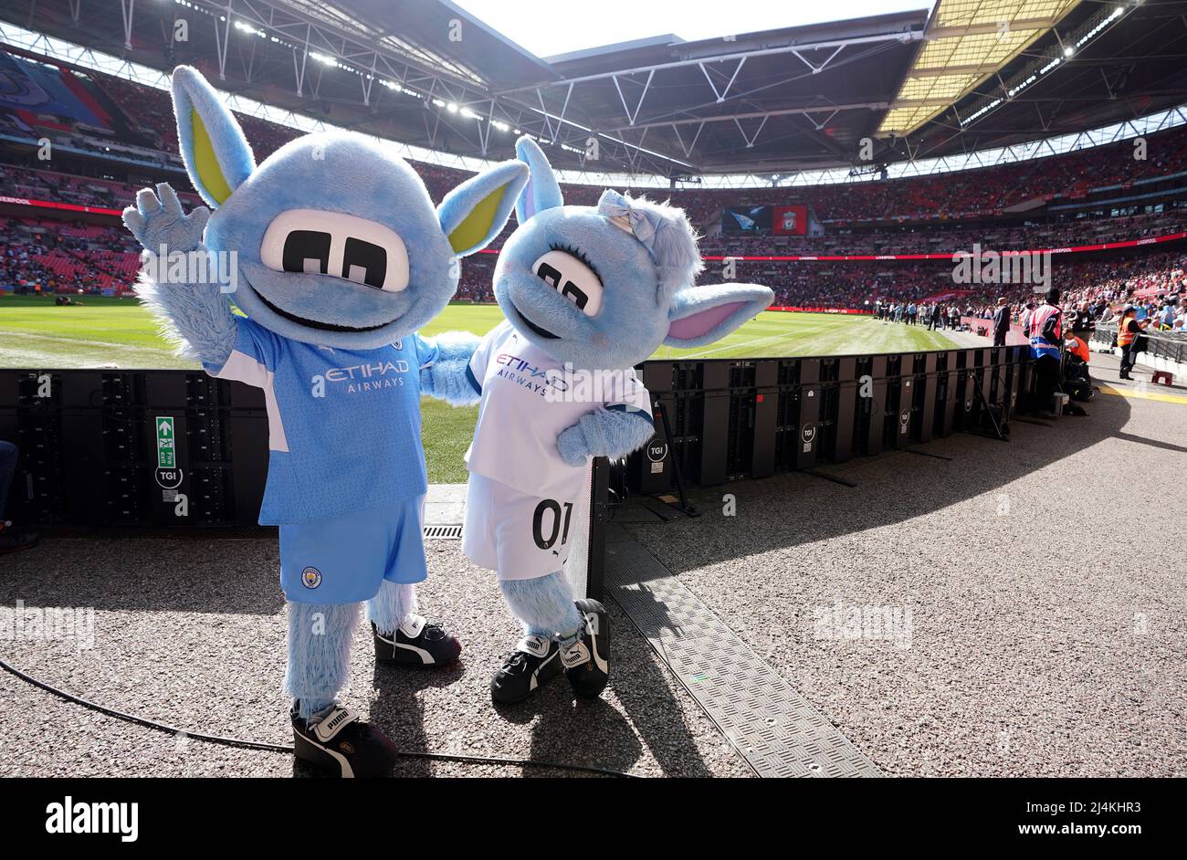 Manchester City Fc Mascot