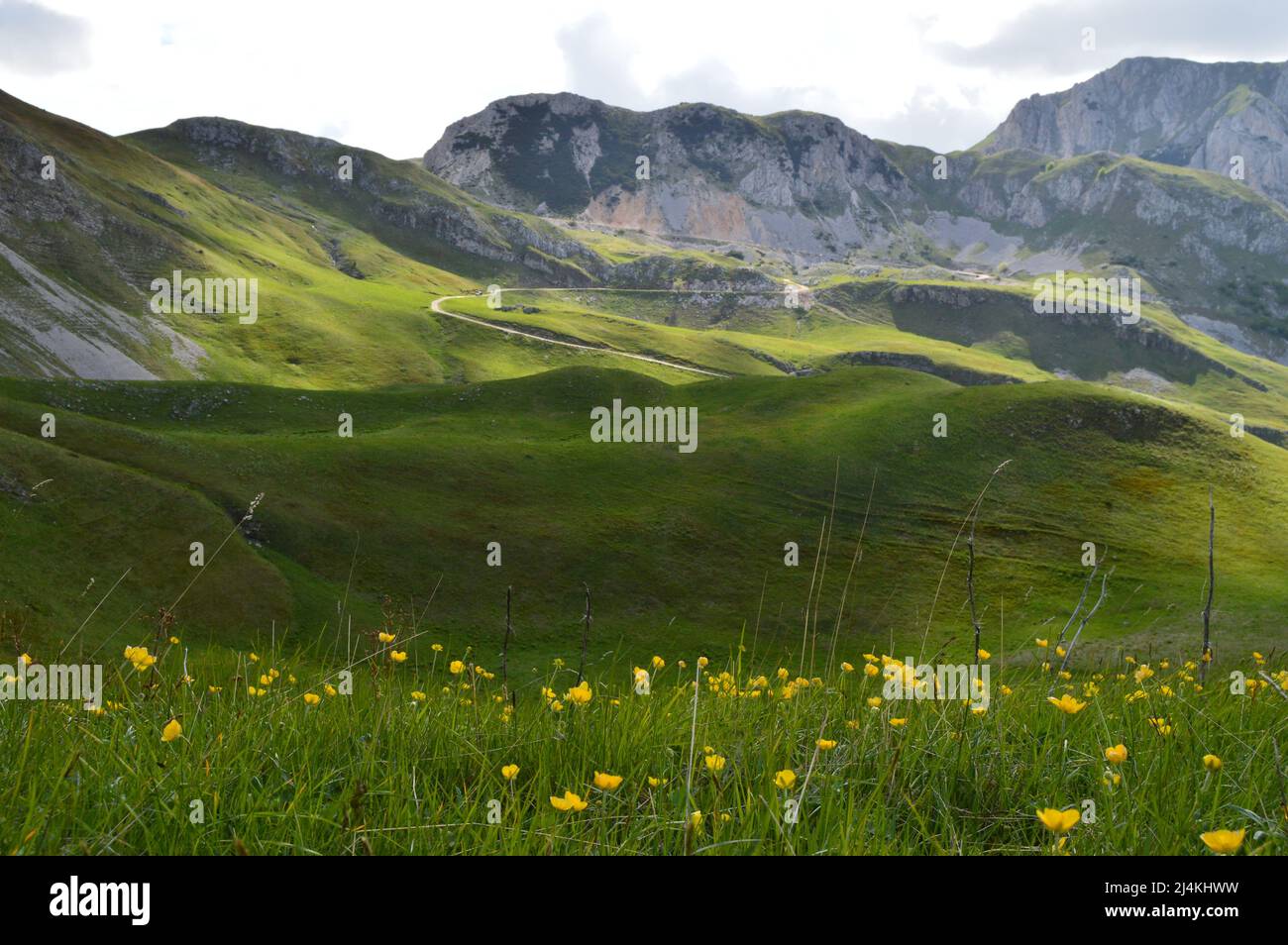 Hiking day on Zelengora mountain, Bosnia Stock Photo - Alamy