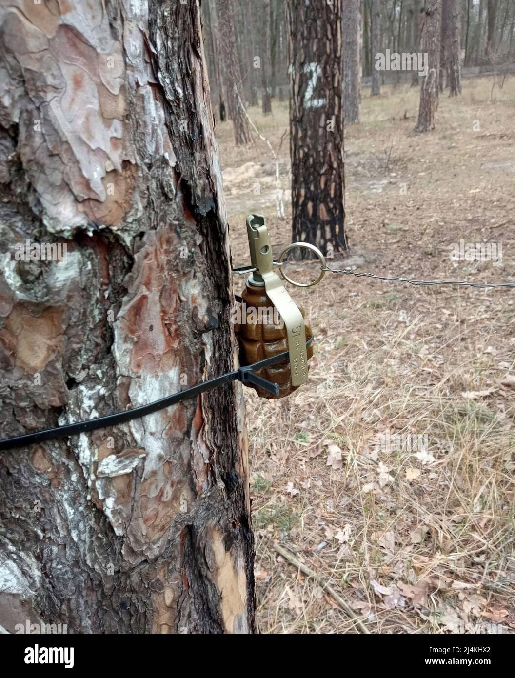 Designed as a trap hi-res stock photography and images - Alamy