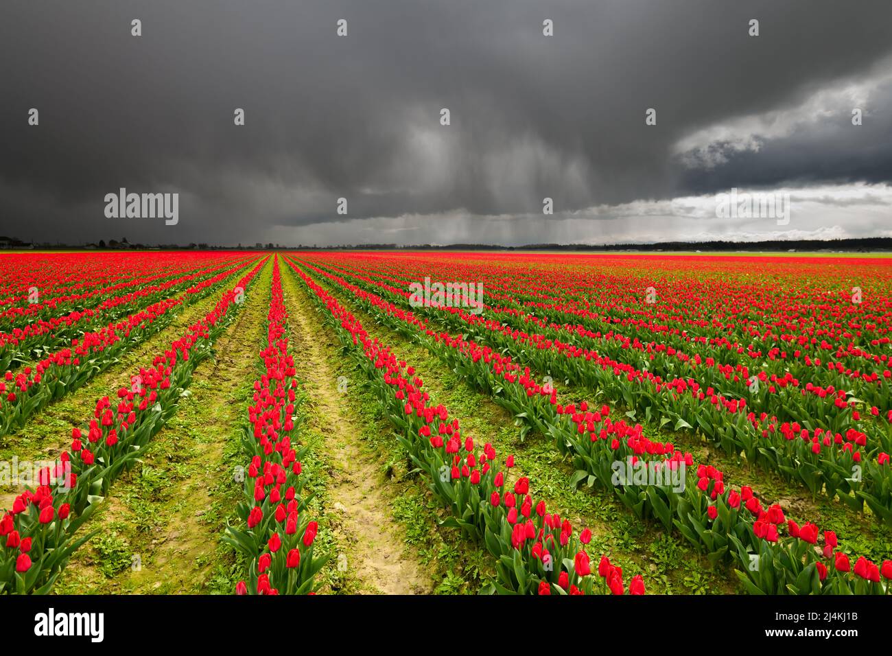 Spring storm hi-res stock photography and images - Alamy