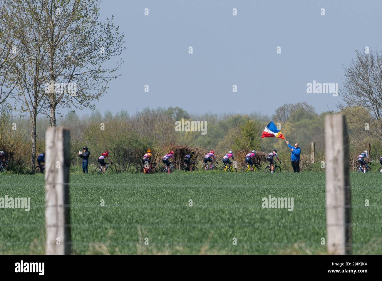 The peloton on the Hornaing secteur of cobbles in Paris-Roubaix ...