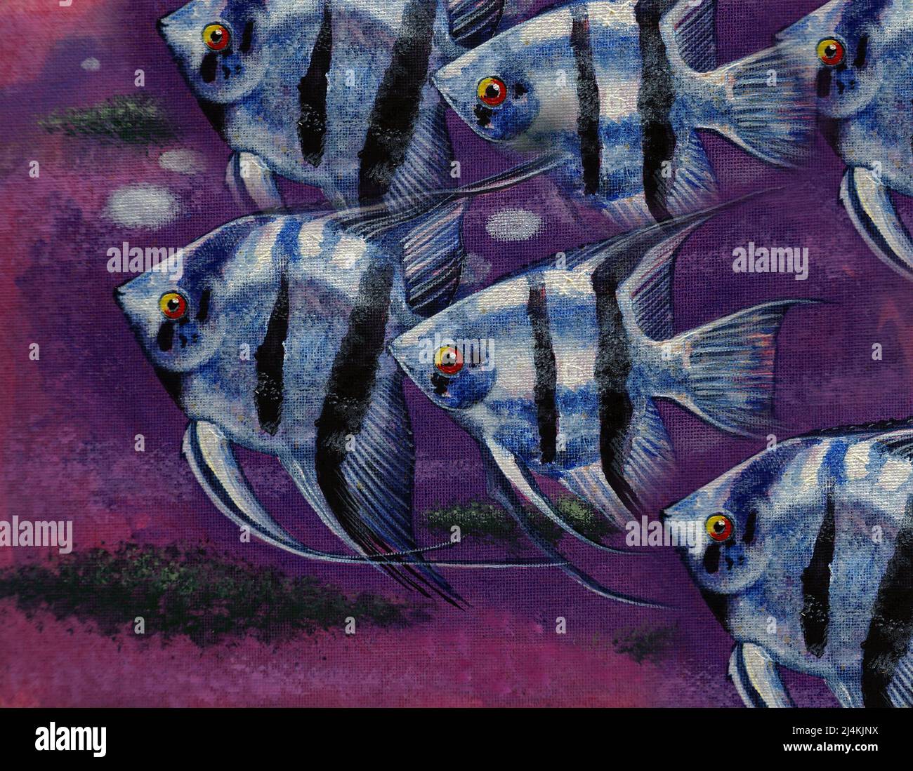 Oil painting of Fancy Angel fish pictures Auspiciousness Stock Photo ...