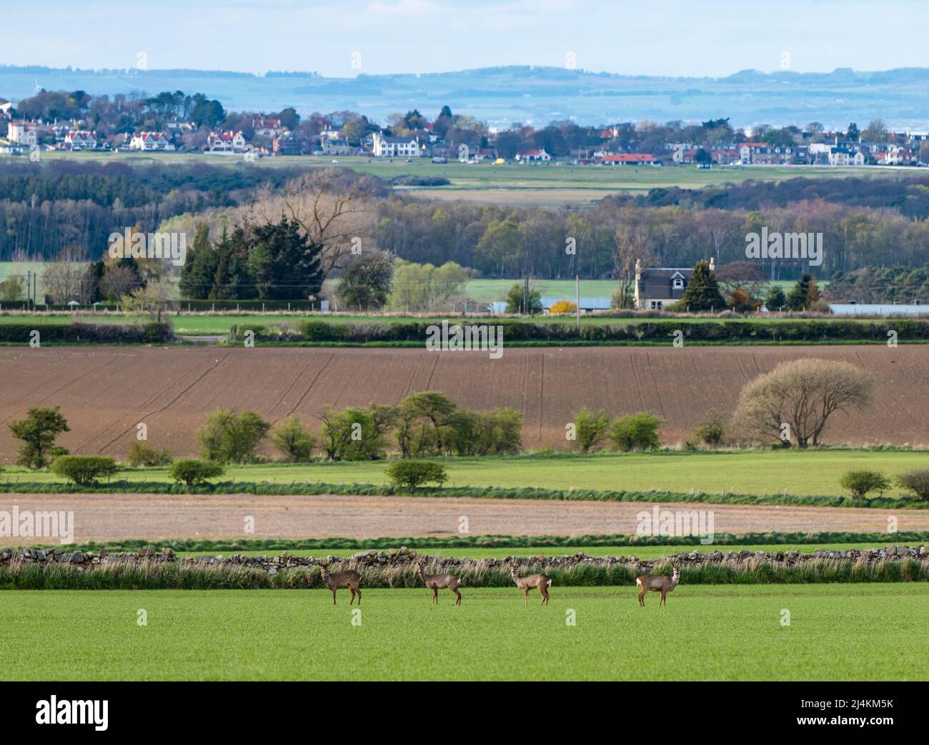 East Lothian, Scotland, United Kingdom, 16th April 2022. UK Weather ...