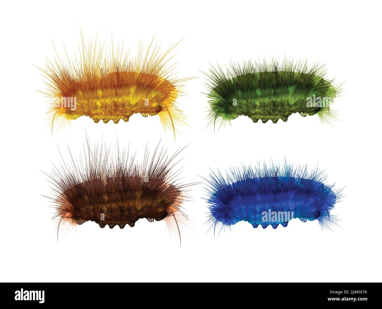 Vector set of different colorful green, yellow, brown, blue furry ...