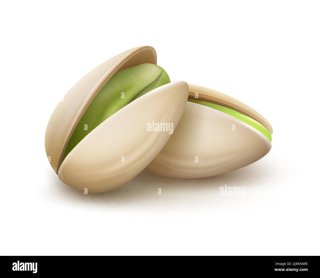 Vector realistic pistachio nuts with nutshell side view isolated on ...