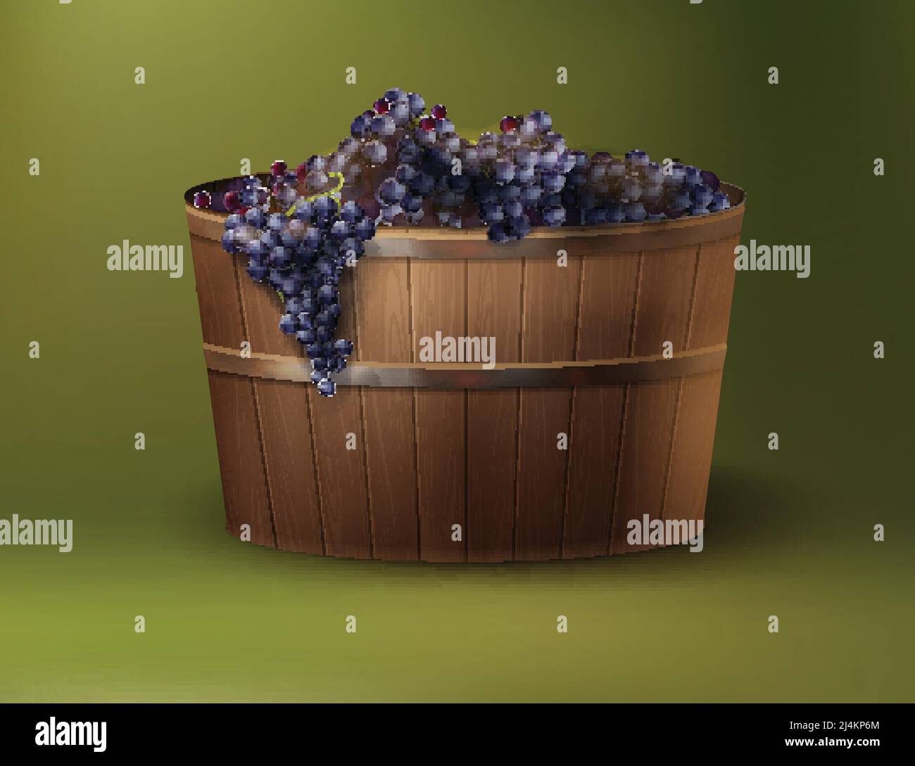 Vector illustration of freshly harvested wine grapes in wooden vat on ...