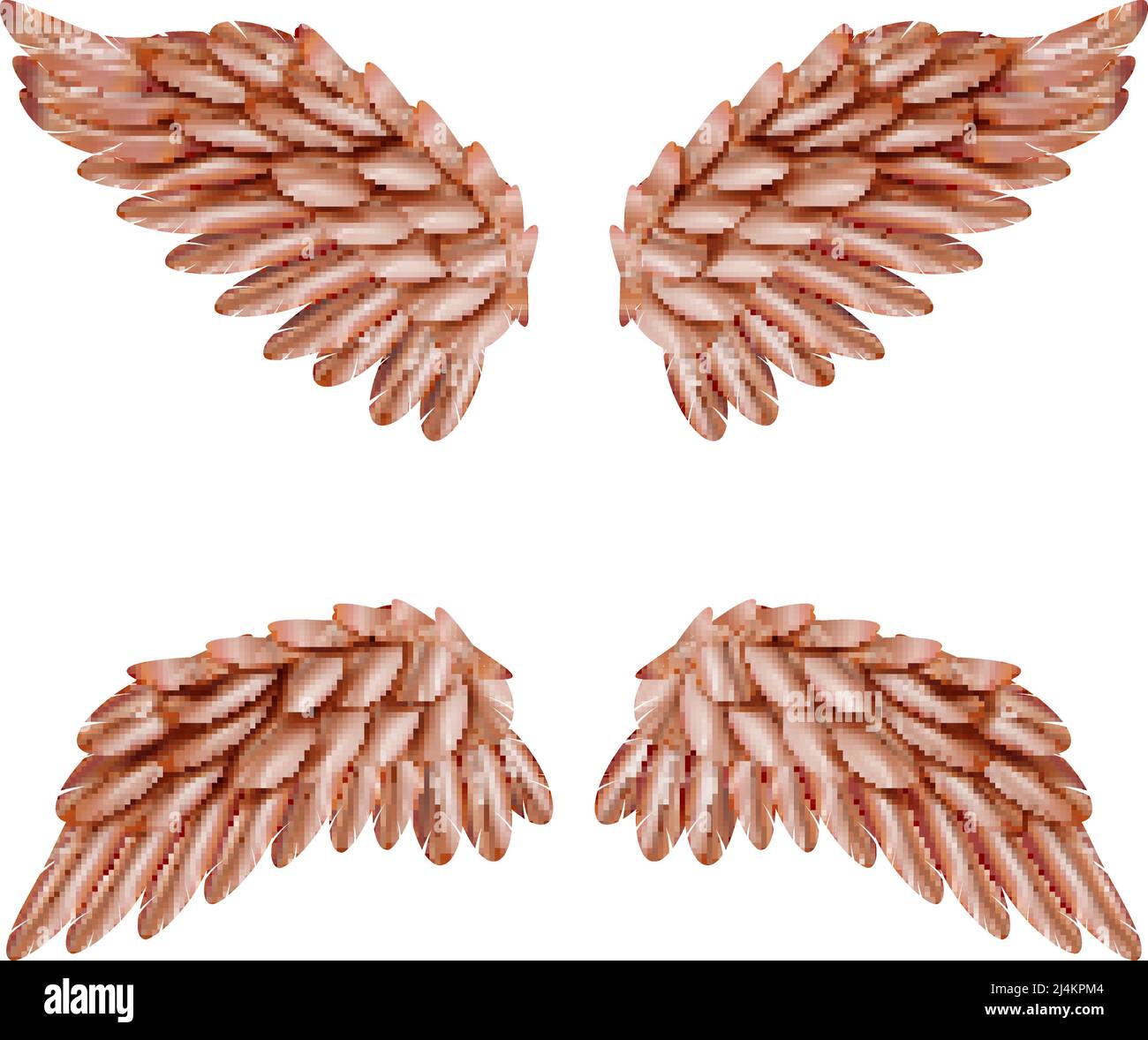 Two pairs of small brown bird wings set isolated on white background ...