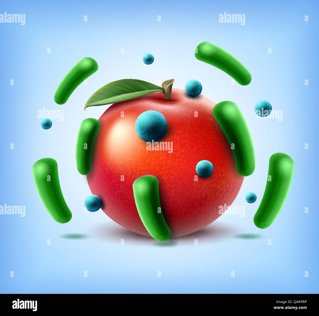Vector dirty apple full in blue cocci bacteria cells and bacilli Stock ...
