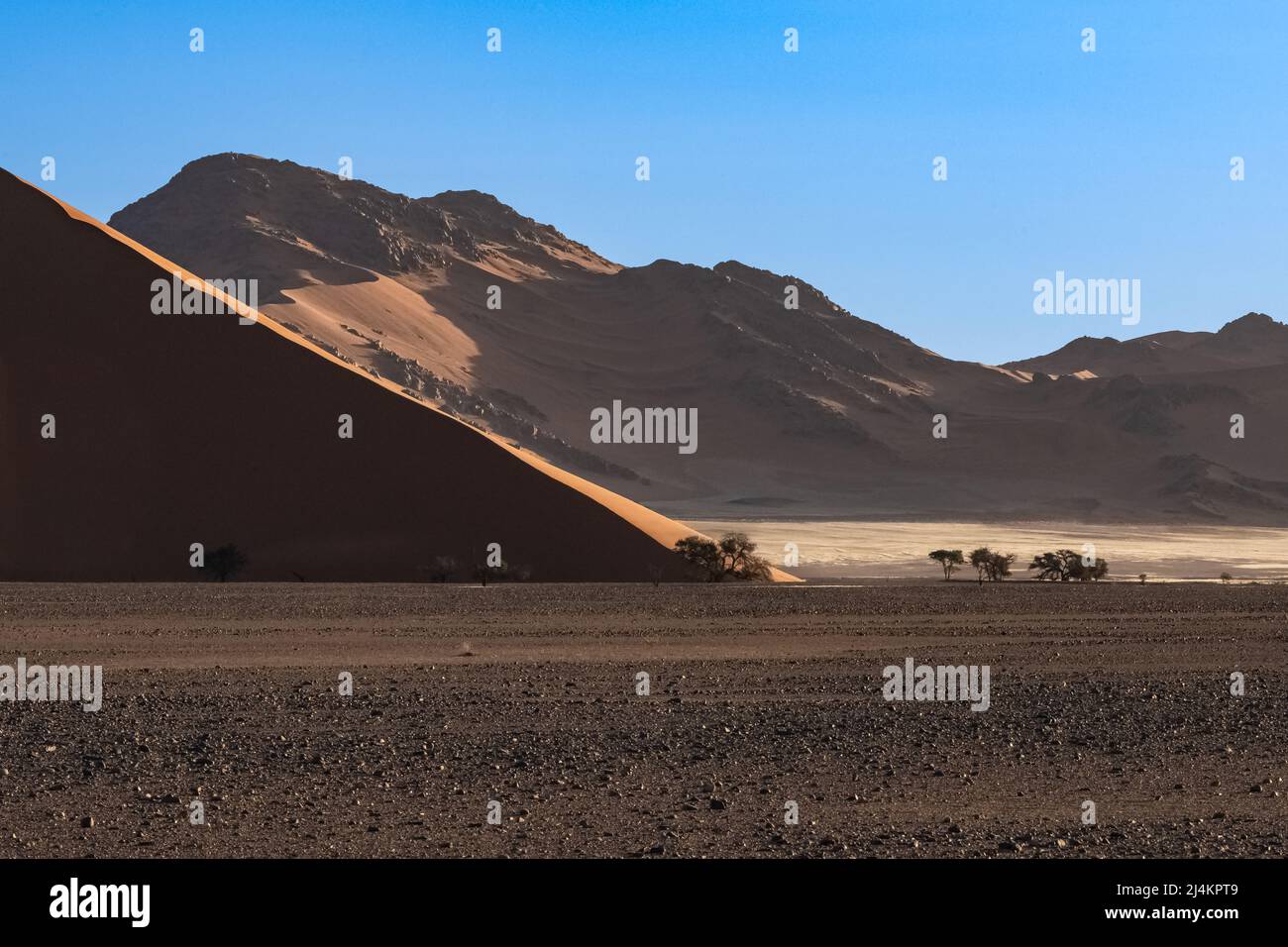 Namibia, the Namib desert, graphic landscape of red dunes Stock Photo ...