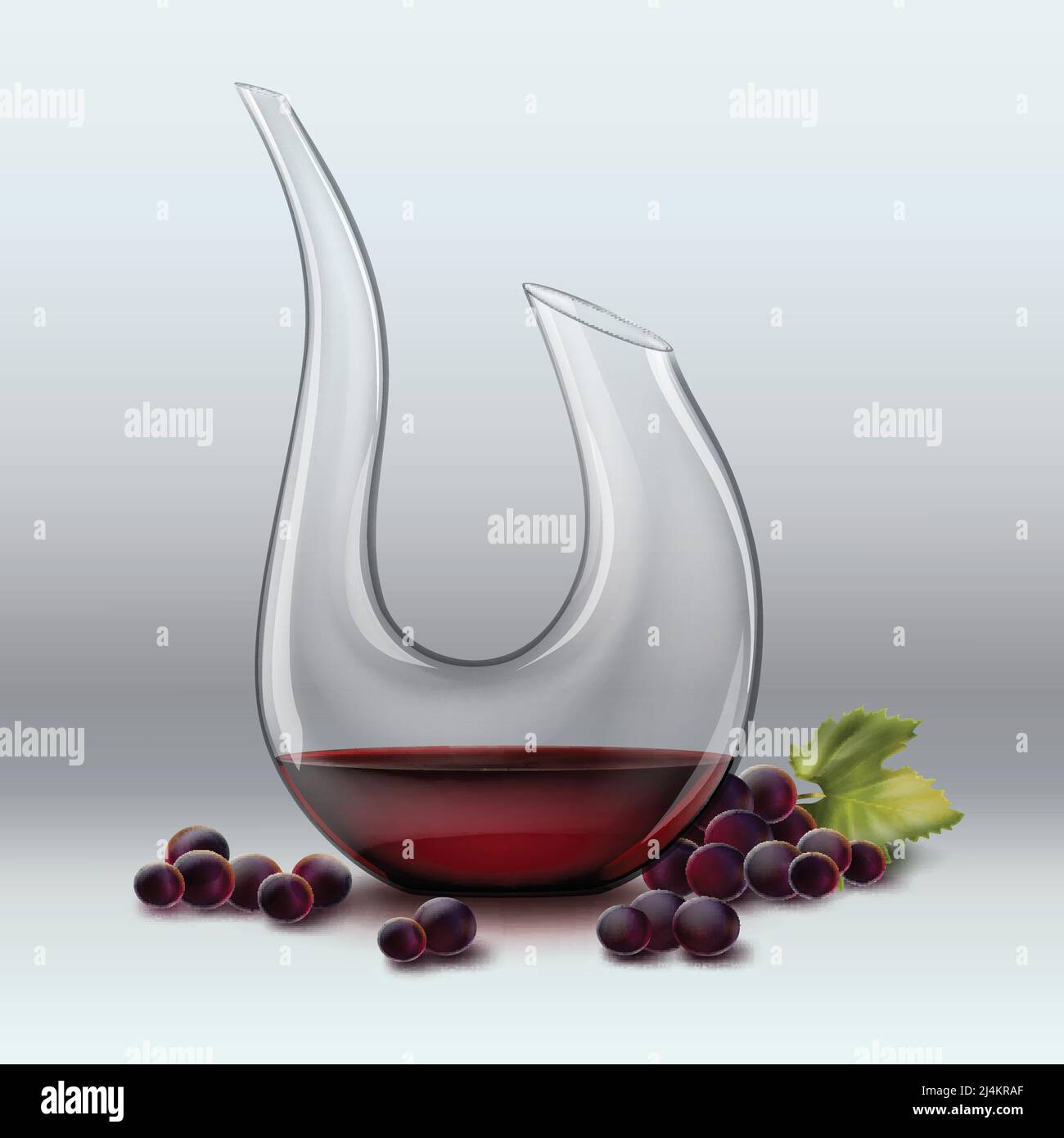 Vector decanter with wine ang red grape isolated on gradient gray ...