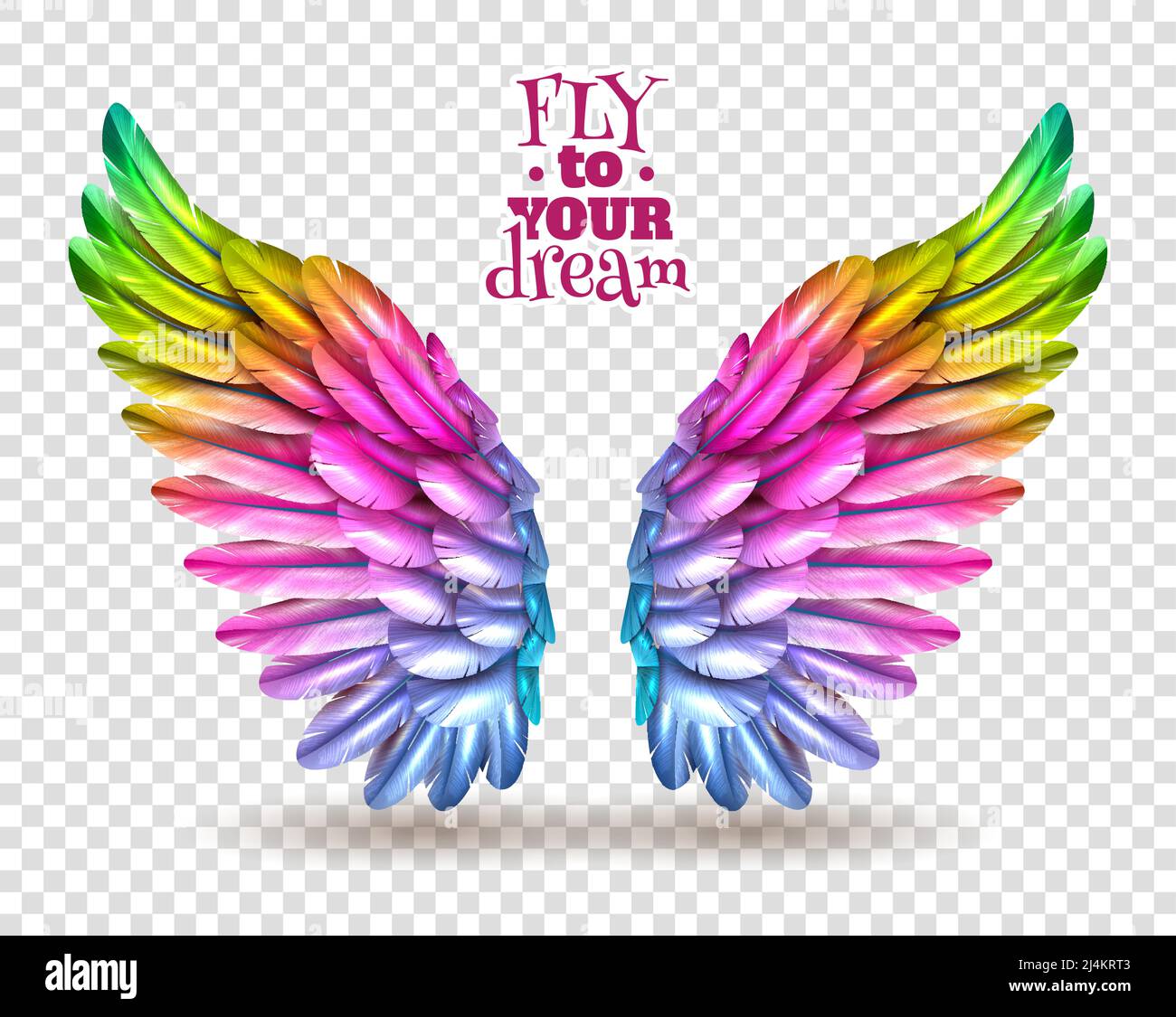 Pair of colorful bird wings set isolated on transparent background with ...