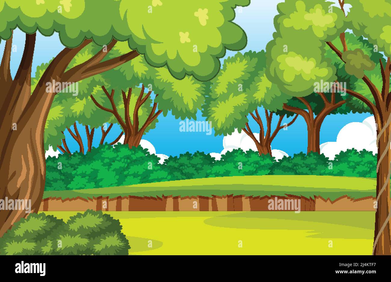 Empty forest environment background illustration Stock Vector Image & Art - Alamy