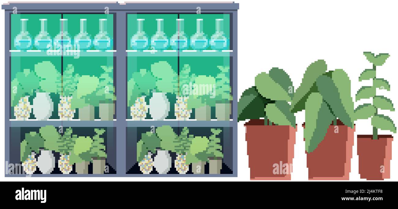 Plant shelves or green house illustration Stock Vector Image & Art - Alamy