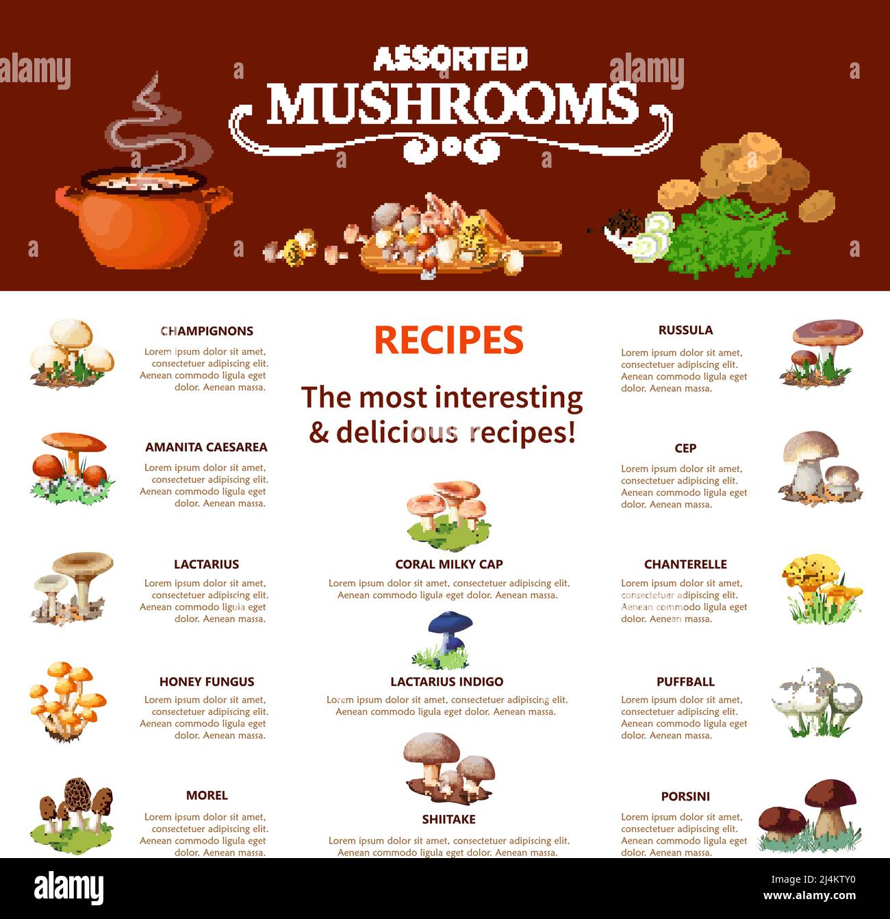 Everything About Mushrooms _ All About Mushrooms – LIHS