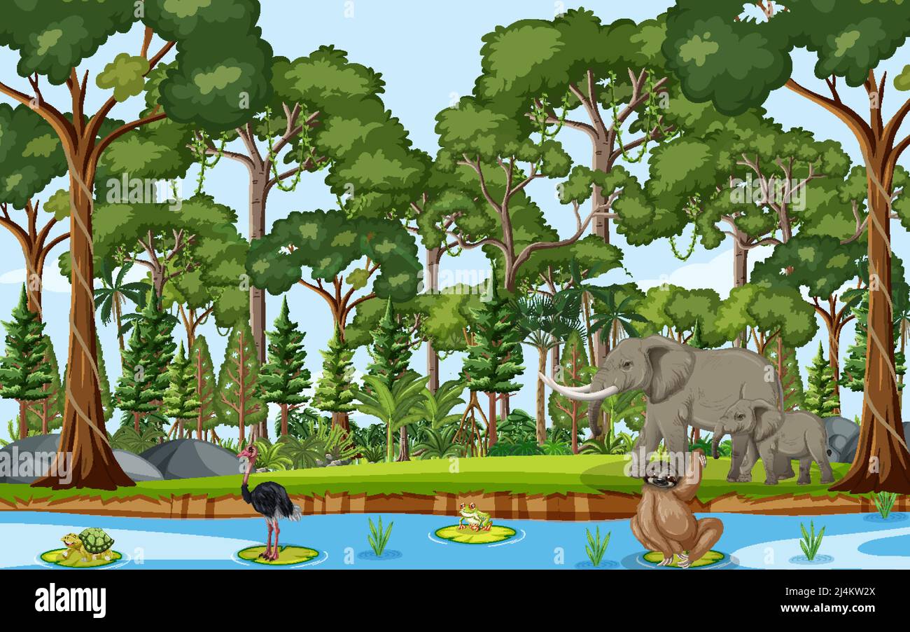Forest scene with wild animals illustration Stock Vector Image & Art ...