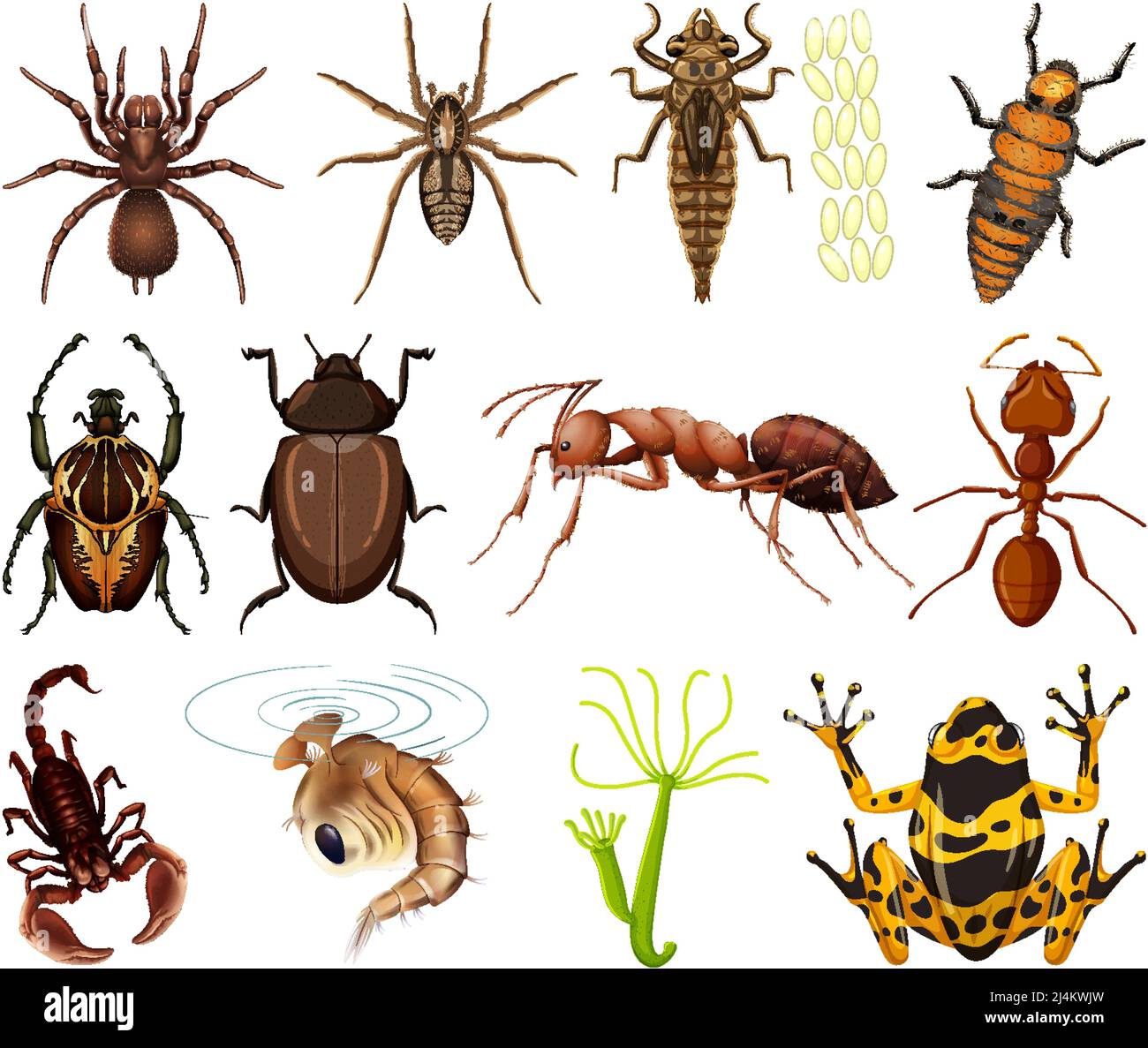 Different kinds of insects and animals on white background illustration ...