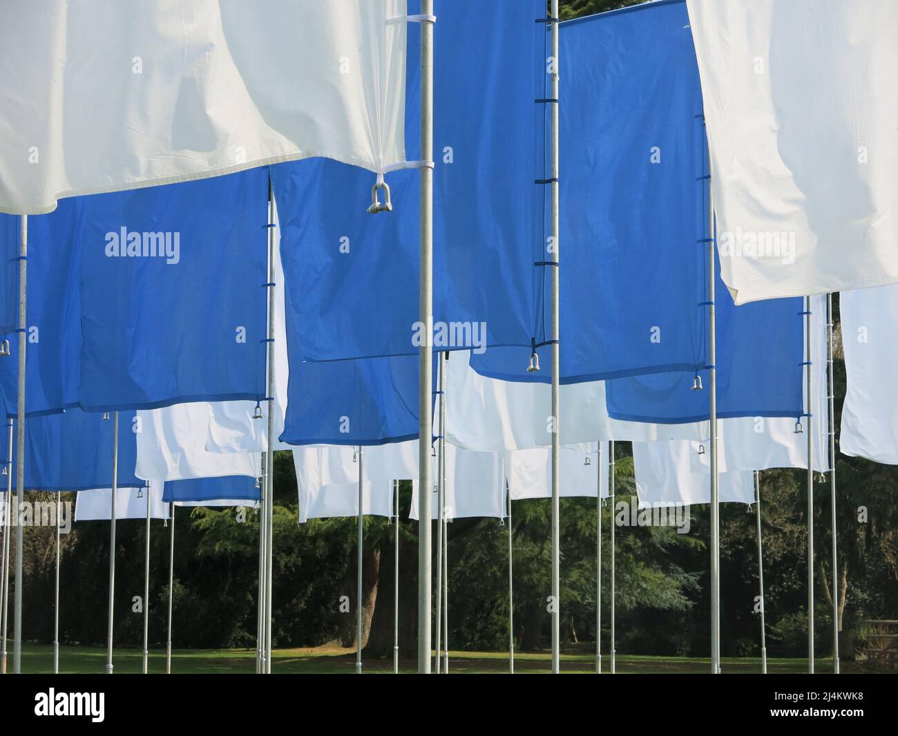 In Memoriam: a sea of blue and white flags, made from NHS bed sheets ...