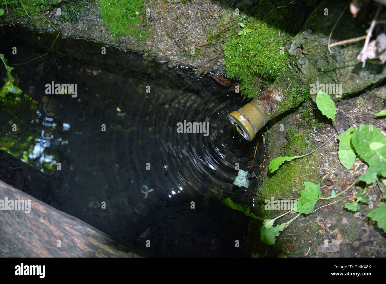 A stream flows out of a source pipe with clean fresh water into a small ...