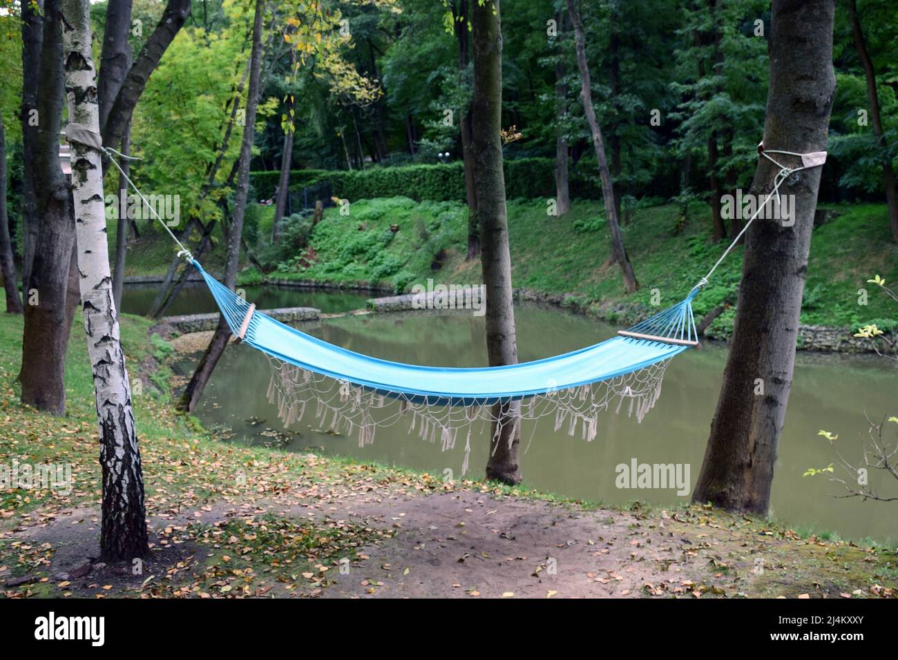 An empty hammock hangs between two trees in the forest near the river ...
