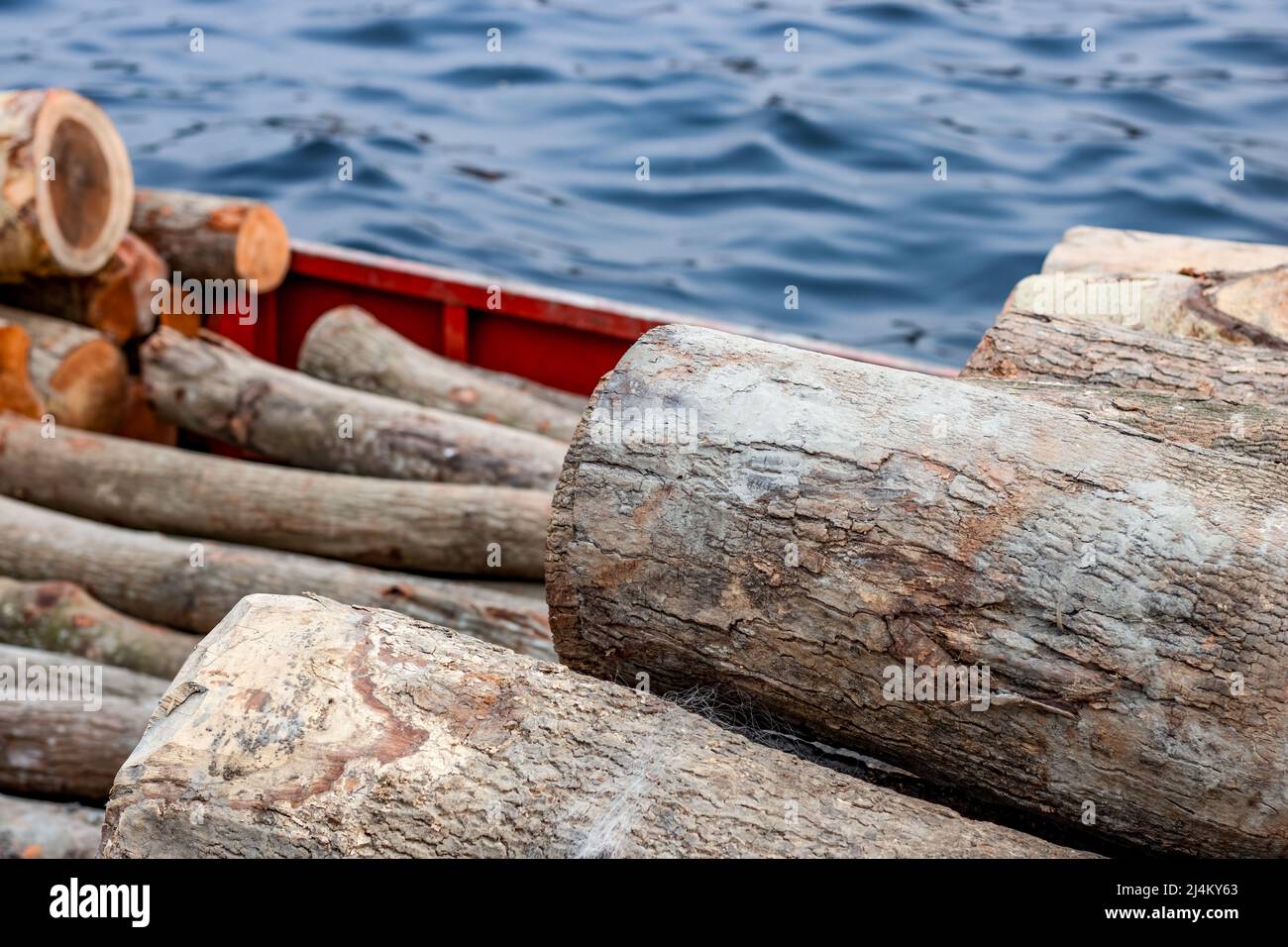 Close up shot of tree trunks on a transport boat Stock Photo - Alamy