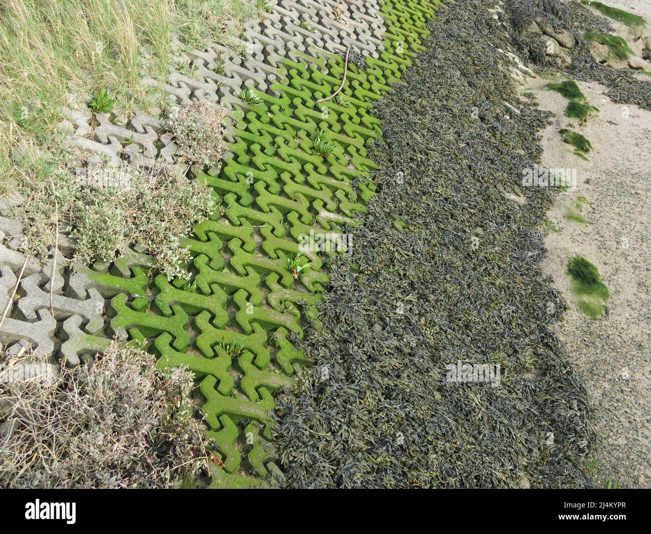 Reservoir wall at Woodbridge Tide Mill formed from interlocking ...