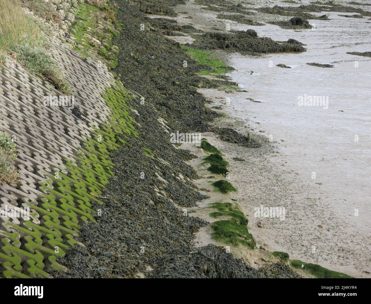 A pattern of interlocking bone-shaped concrete blocks forms the wall ...