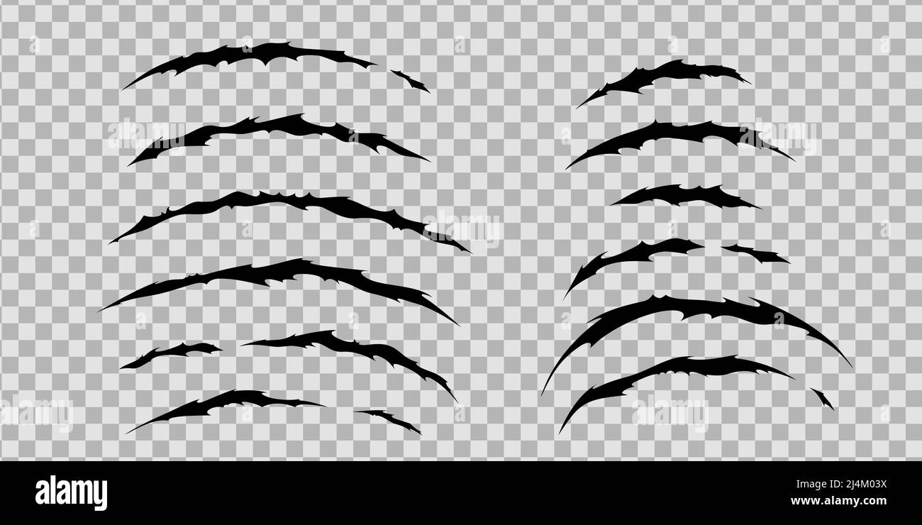 Claw scratches of wild animal. Cat scratches marks isolated in ...