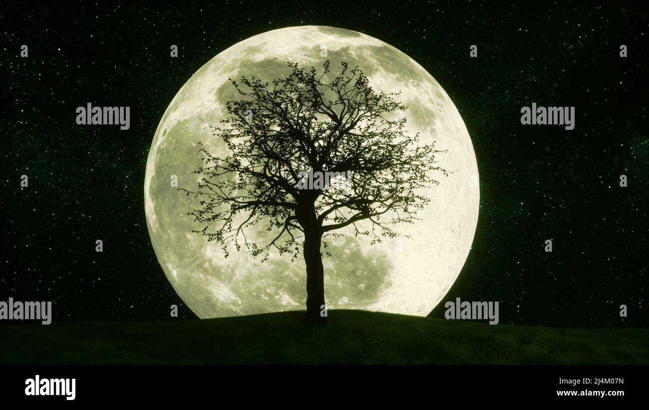a mysterious tree in the moonlight (3d rendering,this image elements ...