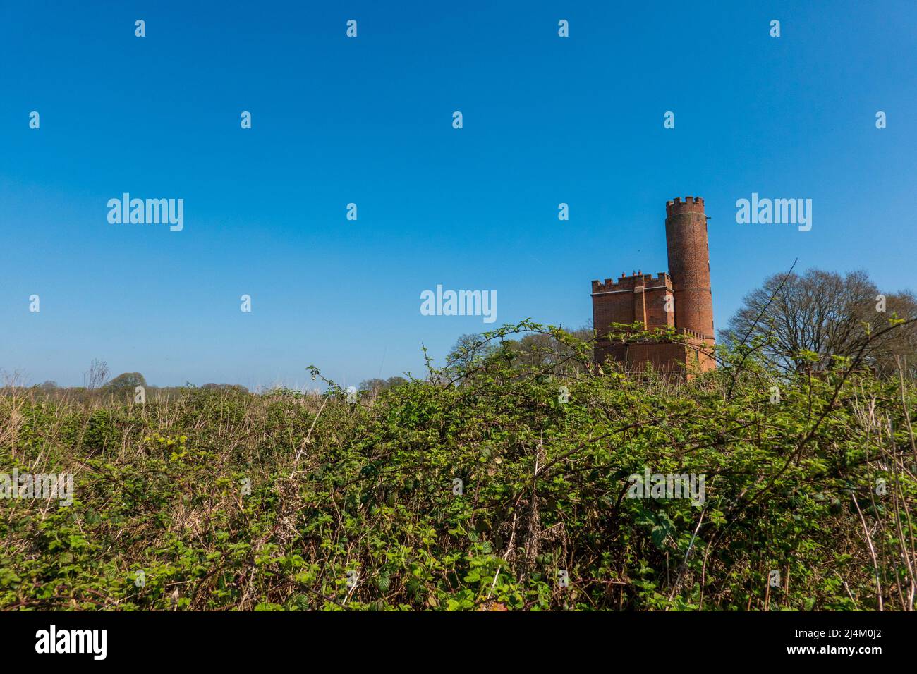Herd of Cows Blickling Park, Blickling, Norfolk Stock Photo - Alamy