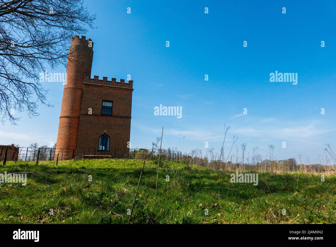 Herd of Cows Blickling Park, Blickling, Norfolk Stock Photo - Alamy
