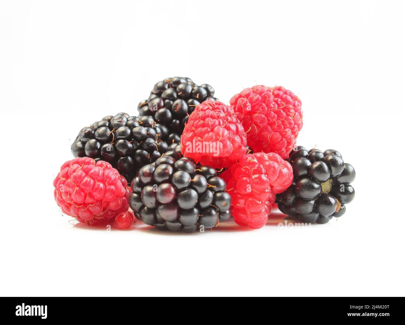 Mix of blackberries and raspberries isolated on white background. Raw ...