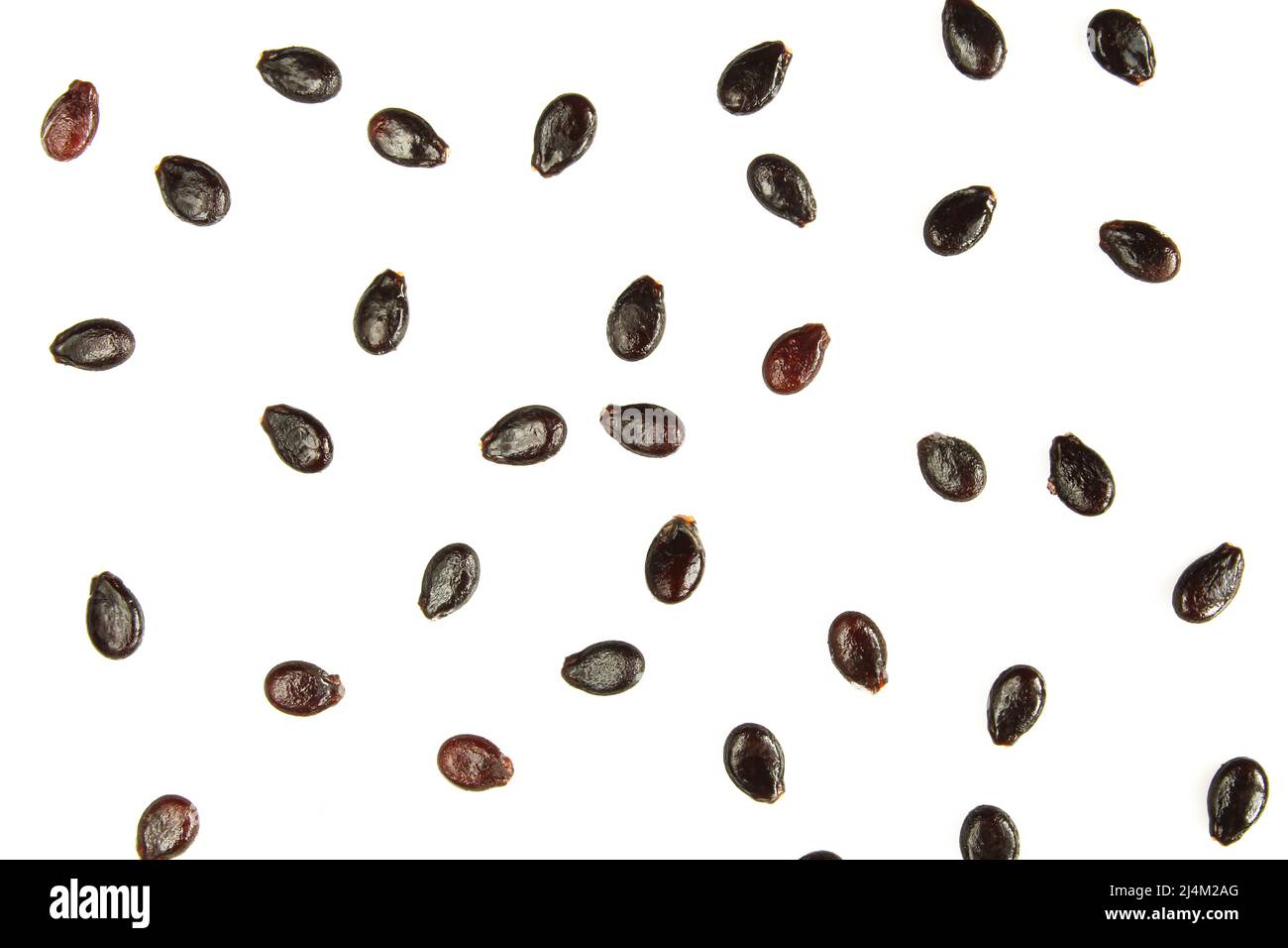 Wet watermelon seeds isolated on white background Stock Photo - Alamy