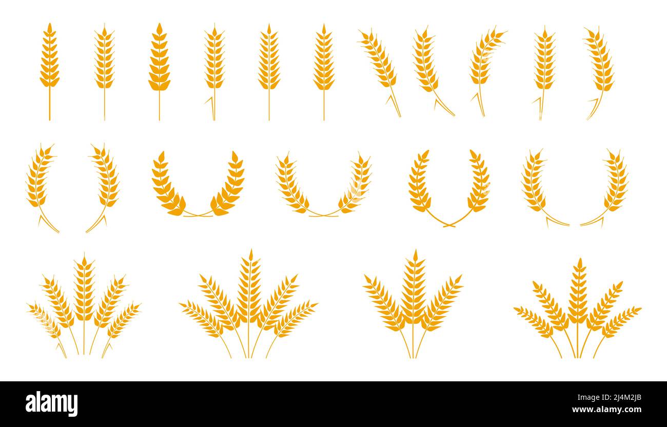 Wheat wreaths logos. Wheat ear icons. Vector agriculture ears symbols ...