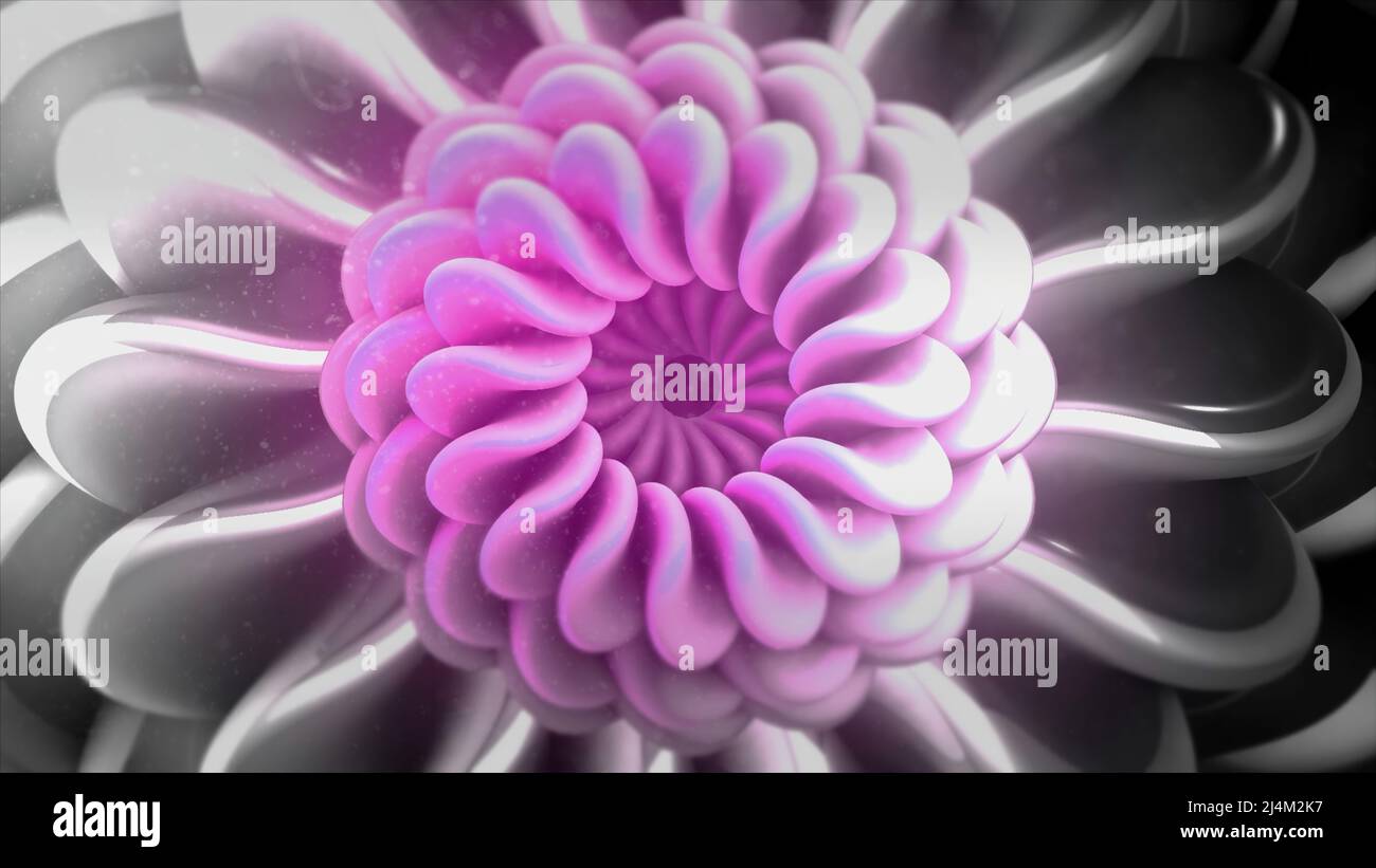 Abstract pink and silver fractal flower with moving petals. Motion ...