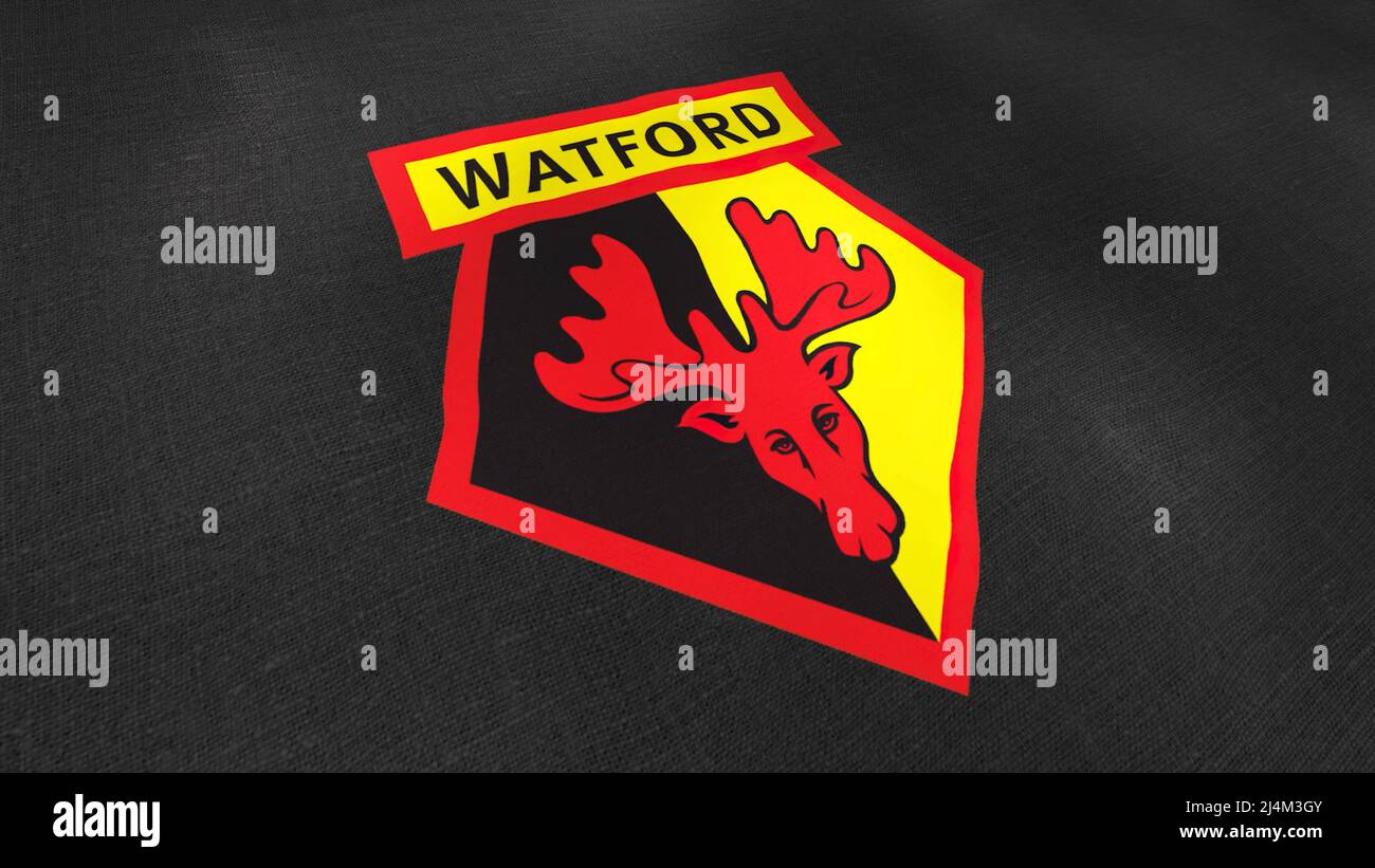 English professional football club from Watford. Motion. The developing ...